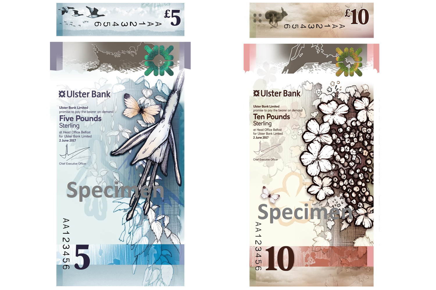 Designing Northern Ireland s New Vertical Bank Notes Design Week designing-northern-ireland-s-new-vertical-bank-notes-design-week